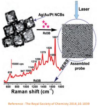 [Raman Application] SERS -佐信科技ProTrusTech